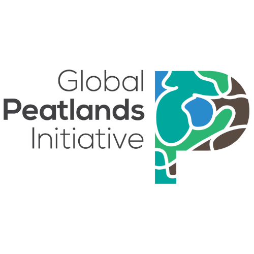 Investing in Peatlands | Publications | Landscape Finance Lab